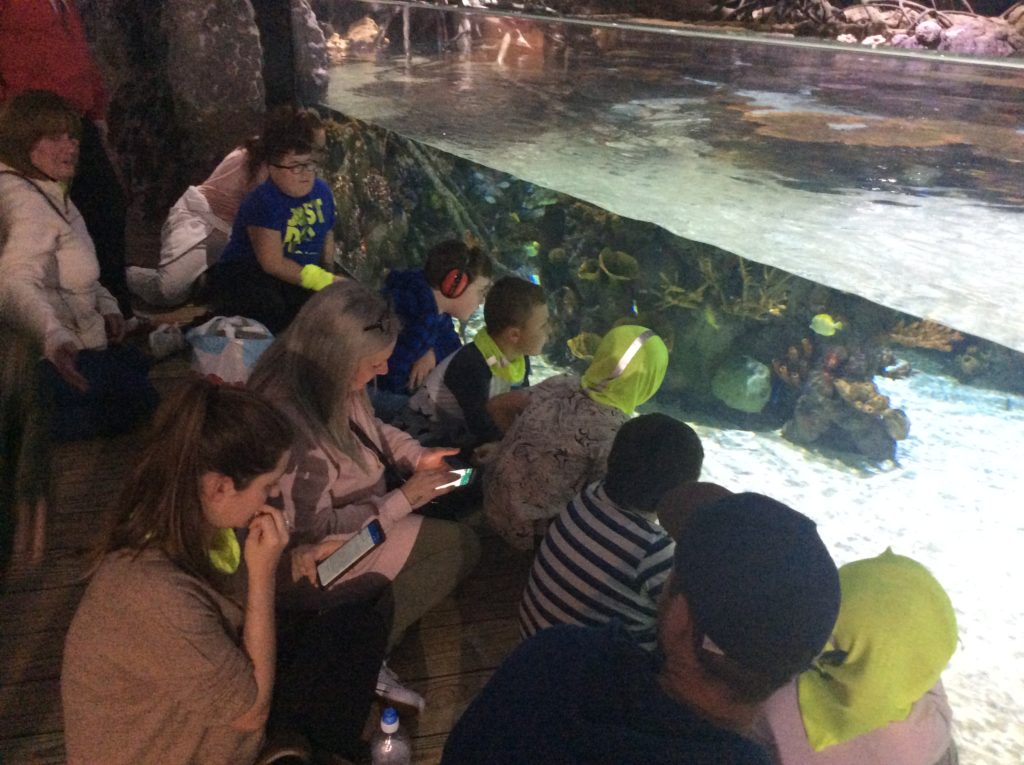 The Deep Sleepover #deepover – Northcott School