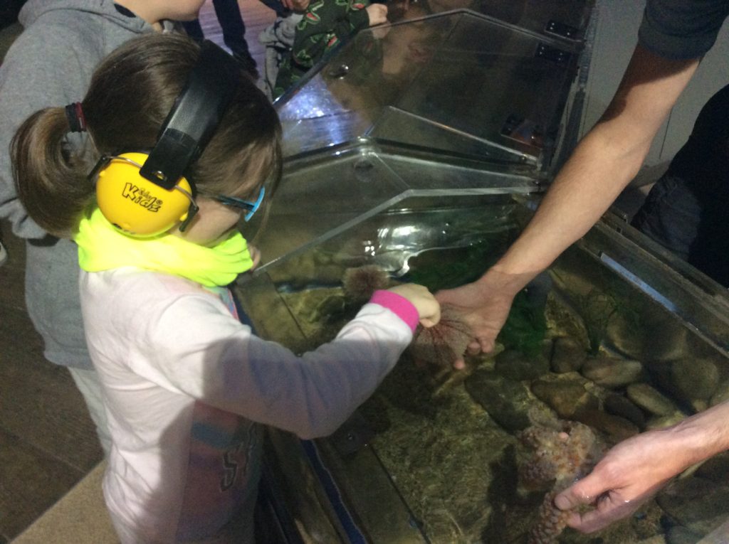 The Deep Sleepover #deepover – Northcott School