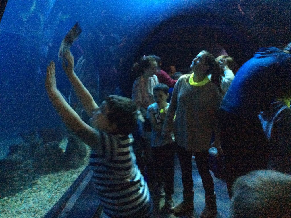 The Deep Sleepover #deepover – Northcott School